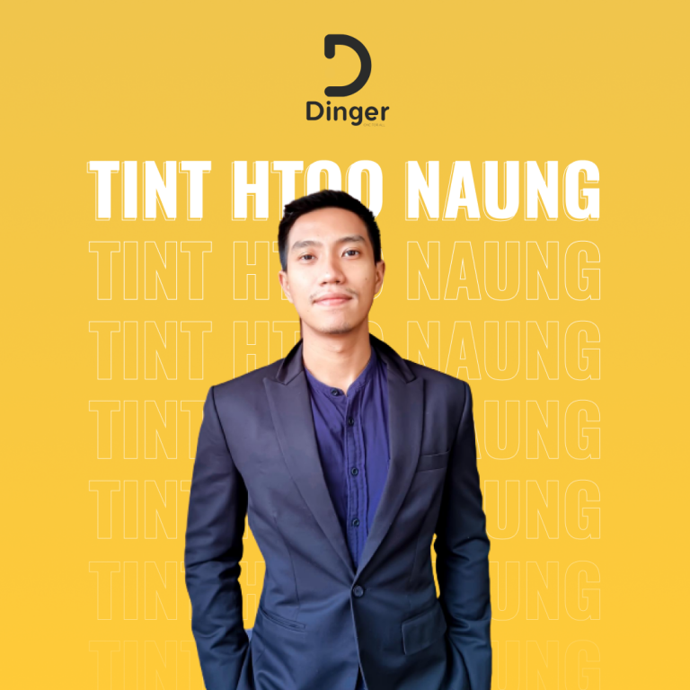 Dinger Financial Management Platform for businesses with payment ...