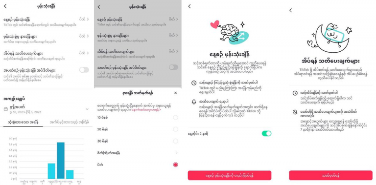Be Safe with TikTok: Enhancing Digital Literacy in Myanmar Through the ...